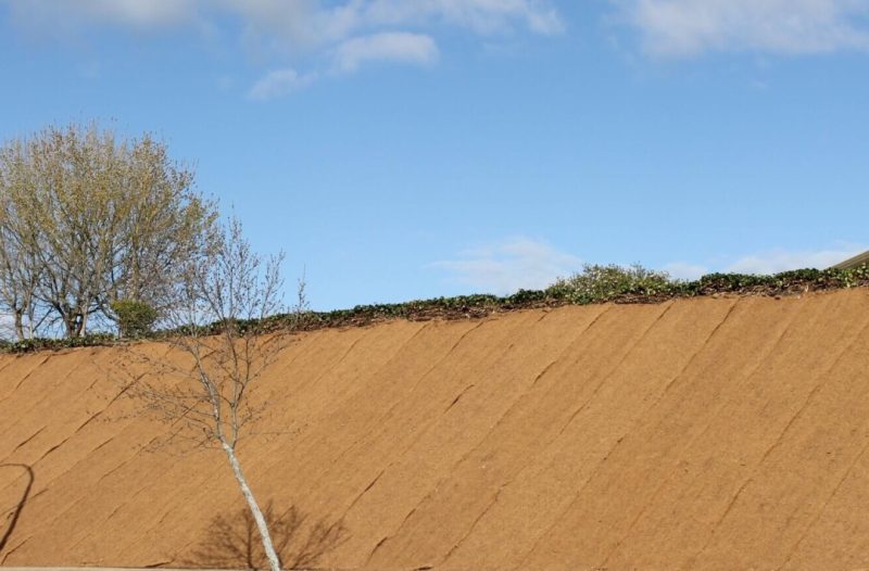 Coir Geotextile – PT. Coir Indonesia Global